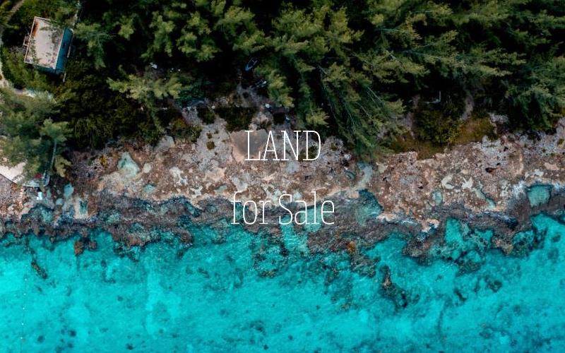 Ocean front Land Lot 5 | Karen Cozumel Real Estate